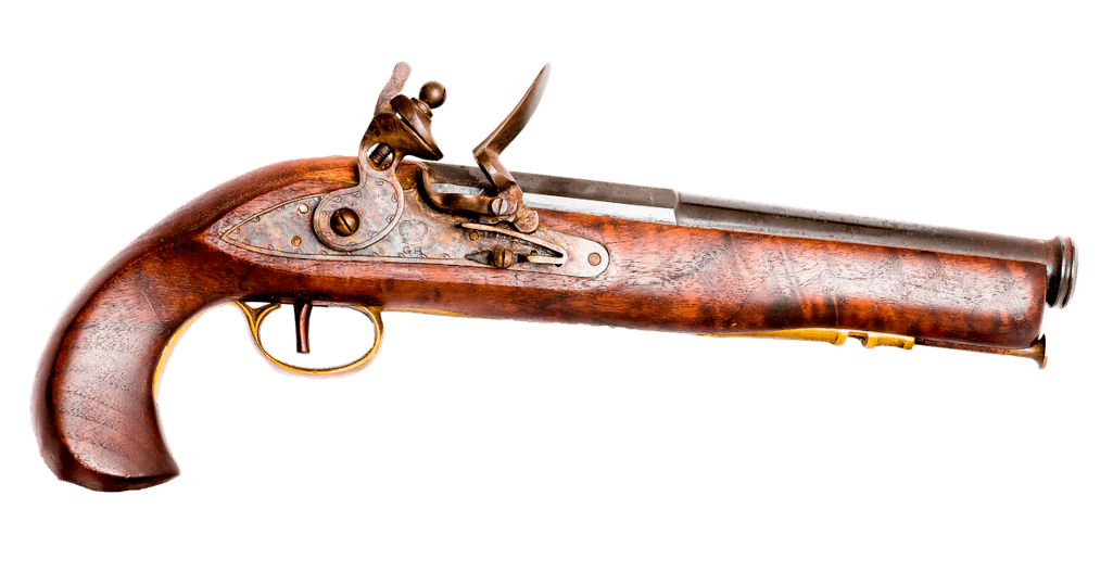 President Andrew Jackson - Constitution of the United States