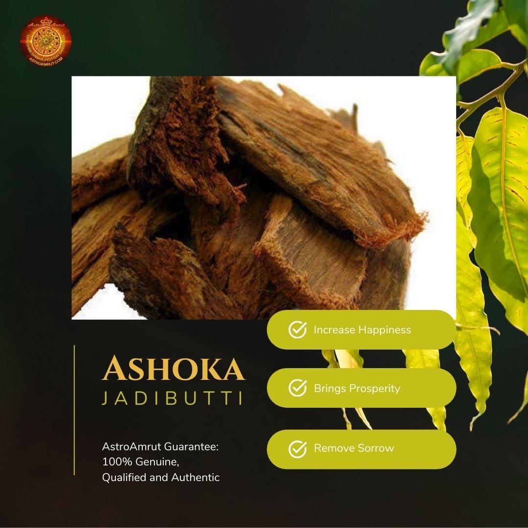 Ashoka ki Jadi – Astro Amrut Private Limited