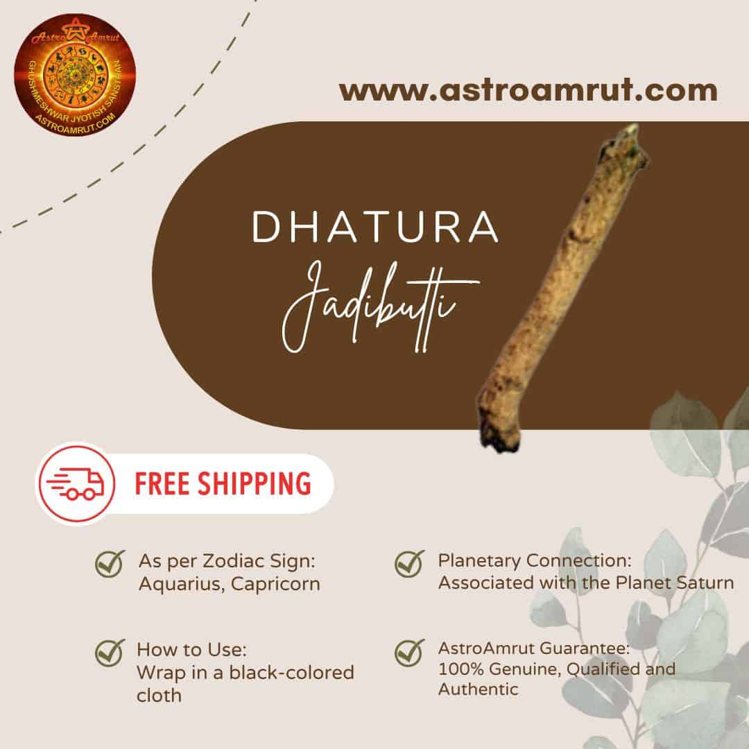 Jadi (Tree Roots) – Astro Amrut Private Limited