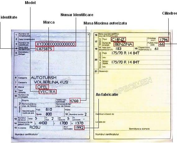 Talonul auto - ce informații se regăsesc într-un talon auto?