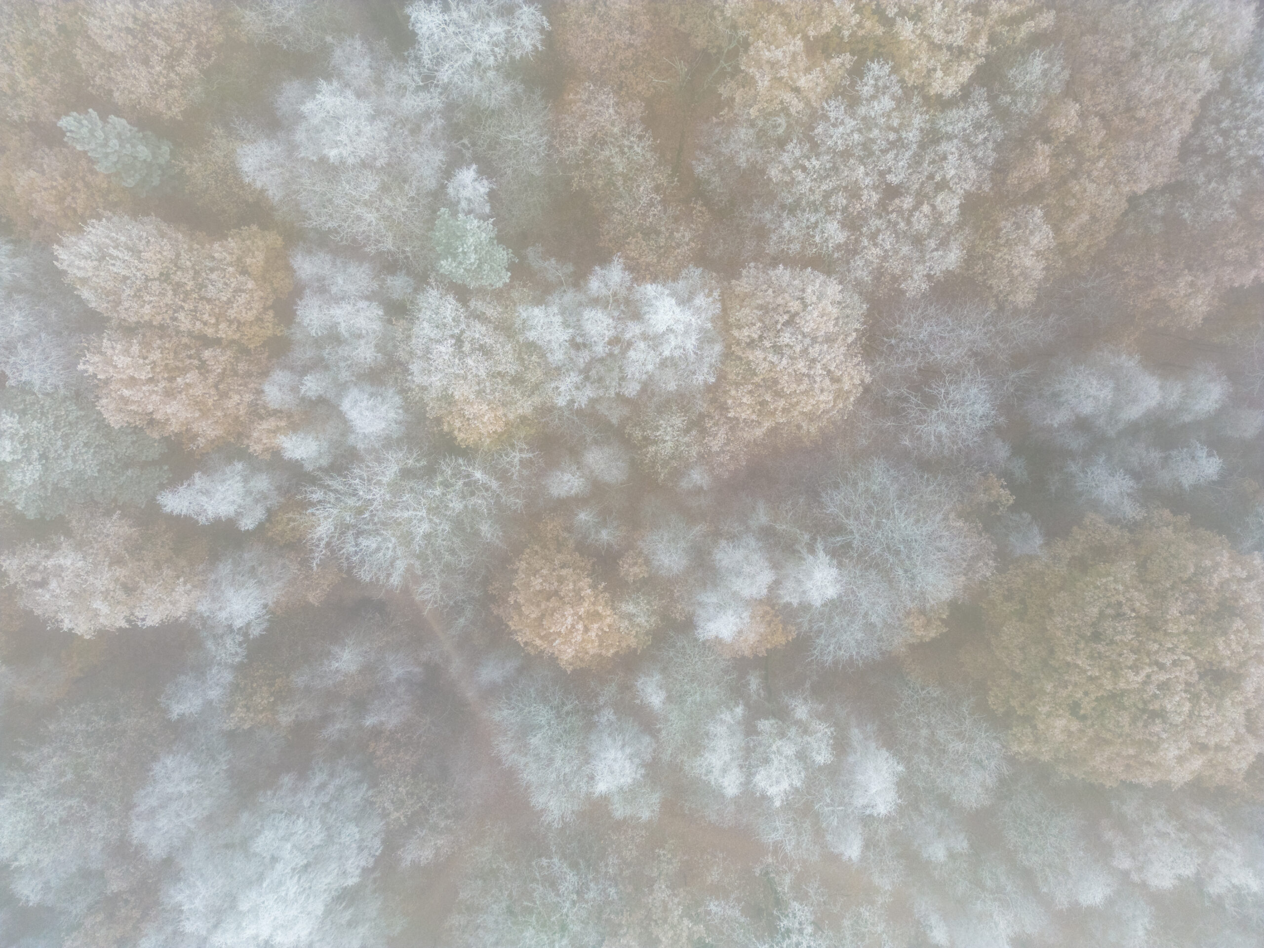 Winter Wonderland Through the Lens: 15 Beginner Tips for Capturing the ...