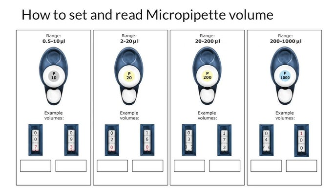 How to Read Micropipette Volumes Accurately [2024 Updated]