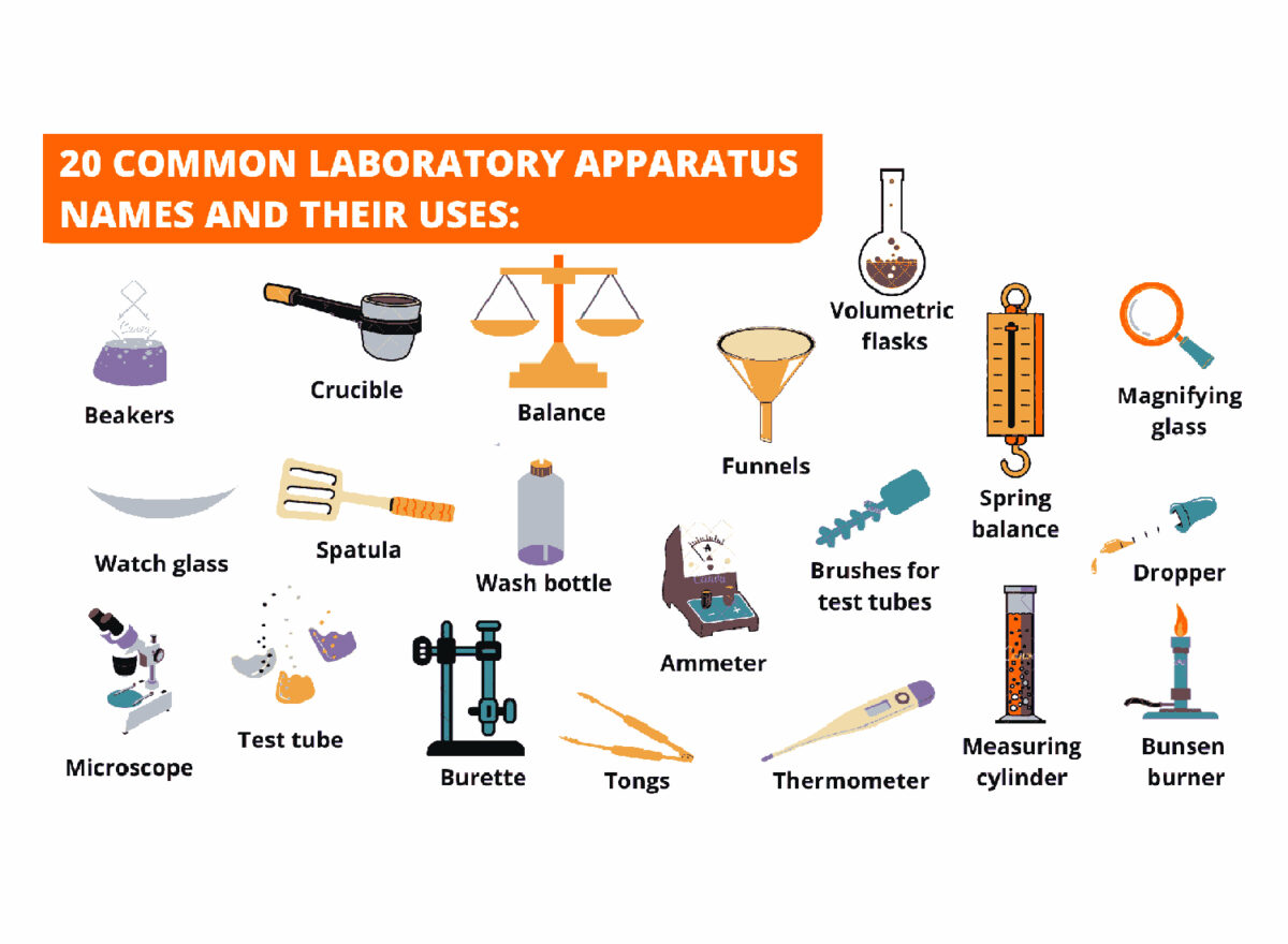 Every Lab Equipment Name You Need to Know: Mastering The Lab