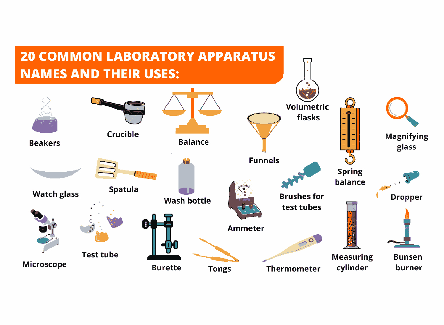 Every Lab Equipment Name You Need to Know: Mastering The Lab