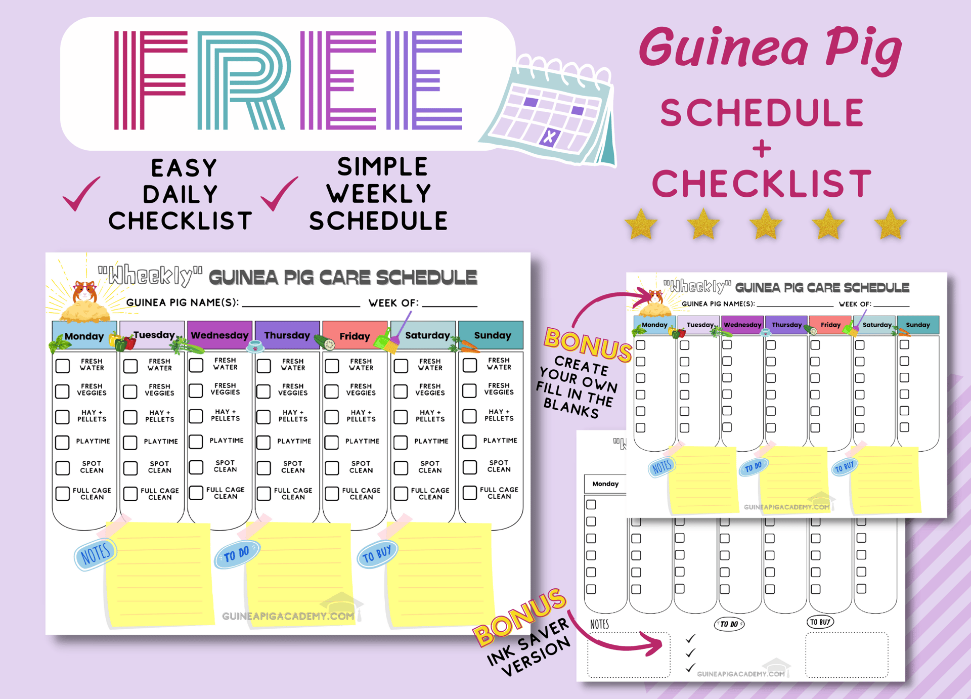 Home - Guinea Pig Academy