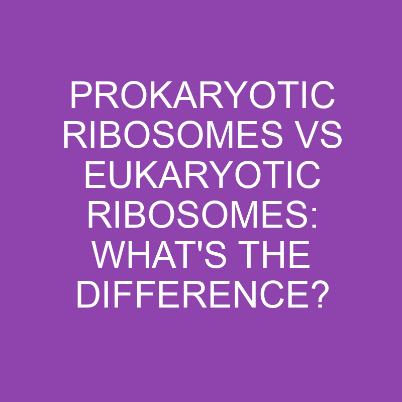 Prokaryotic Ribosomes Vs Eukaryotic Ribosomes: What's The Difference ... Prokaryotic Ribosomes Vs Eukaryotic Ribosomes: What's The Difference ...