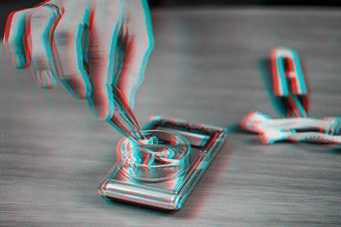 How to Microdose Psychedelic Mushrooms: A Complete Guide - EntheoZen