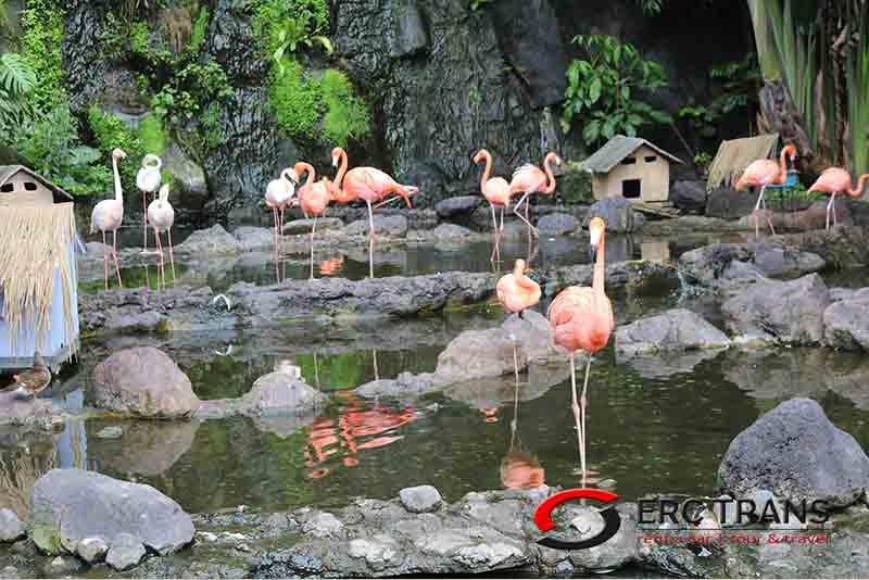 Jatim Park 2 - Batu Secret Zoo - Galeri Wisata Malang Batu Erc Trans - 1 - ERC TRANS
