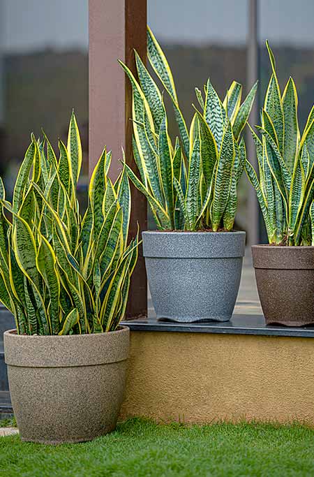 Events - Harshdeep India | Best Quality Planters Online