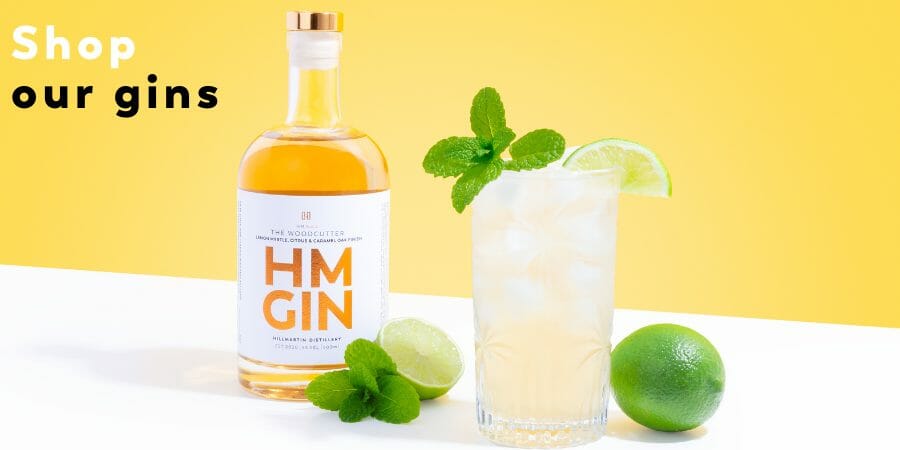 About Us - Hillmartin Gin Distillery