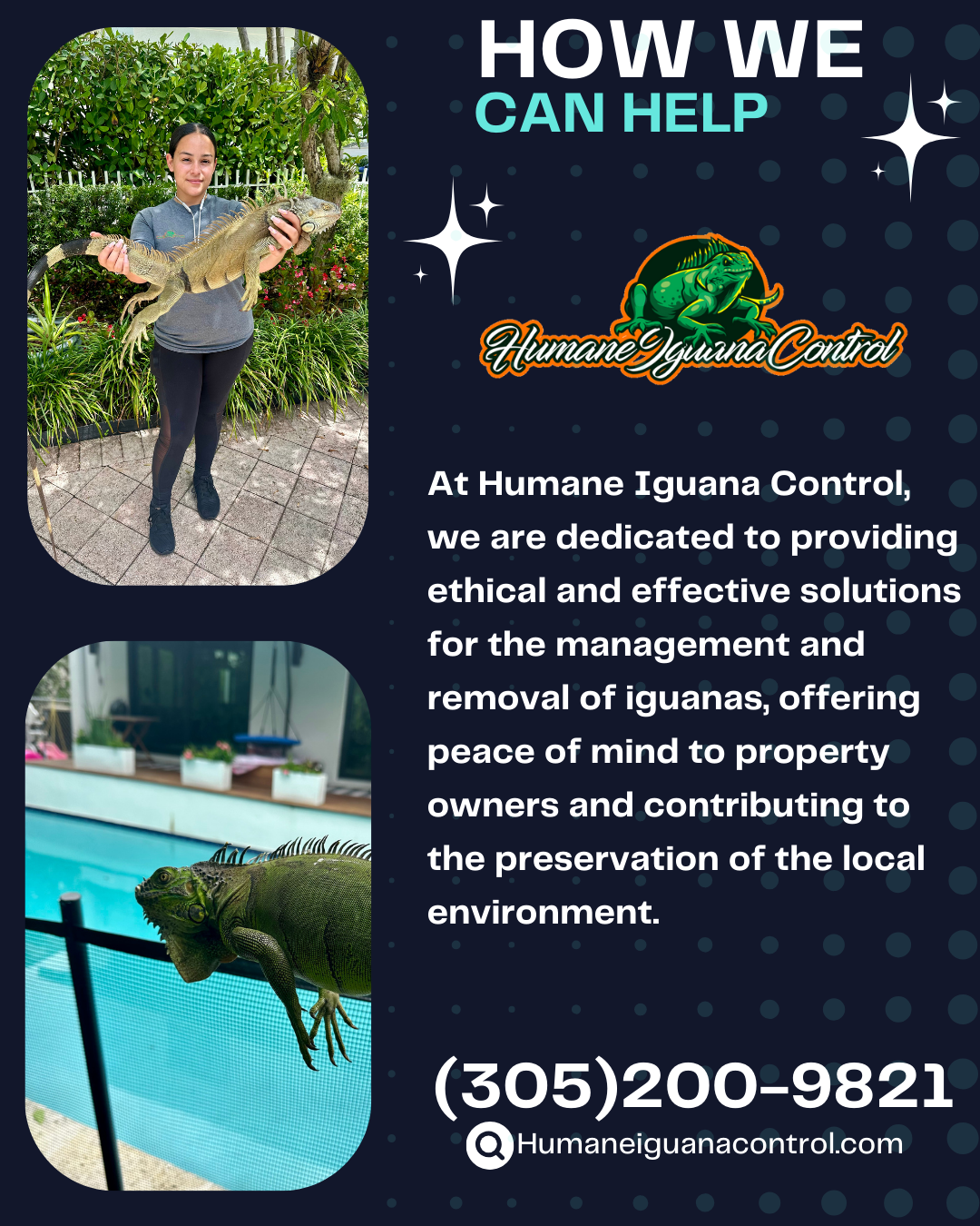 Dealing With Iguana Poop in Your Pool - Effective Iguana Removal Near Me