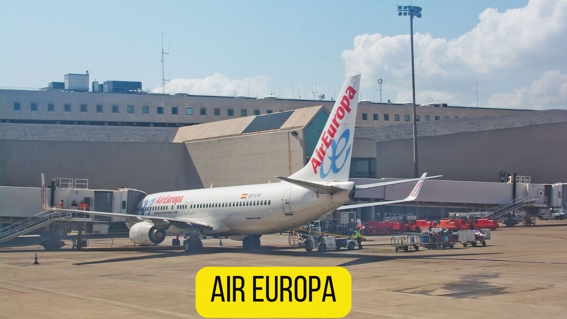 What Size of Dog Can Fly In Cabin? (Breeds, Height & Weight) - Oxford Pets