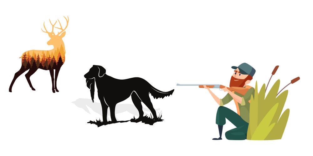 Can You Shoot Dogs Chasing Deer Or Moose? 10 Dog Chasing Wildlife Laws ...