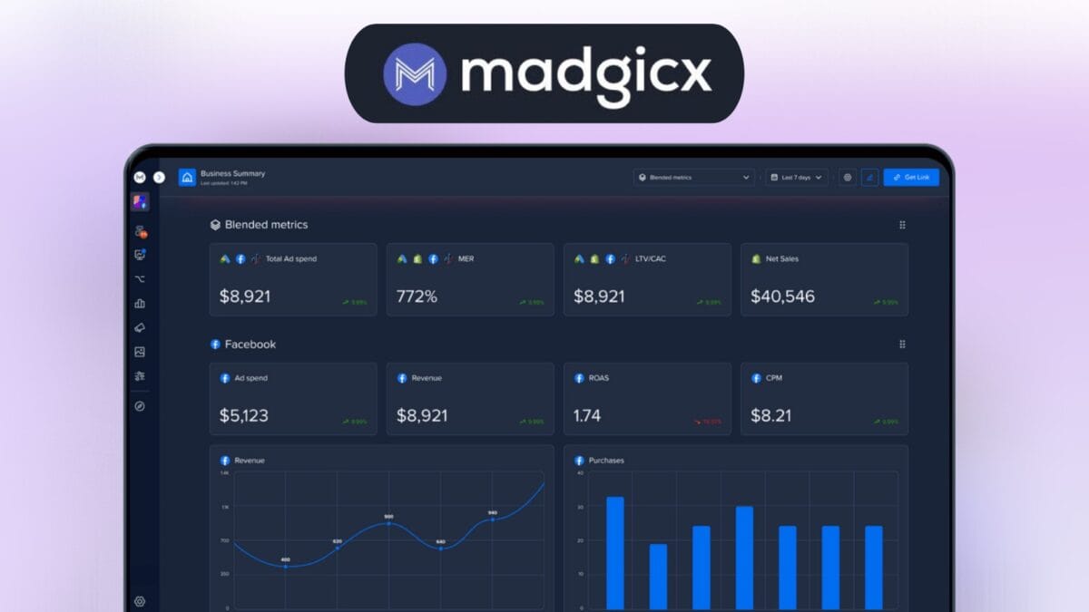 Madgicx One Click Report Lifetime Deal 💡 All-in-One Ad Optimization ...