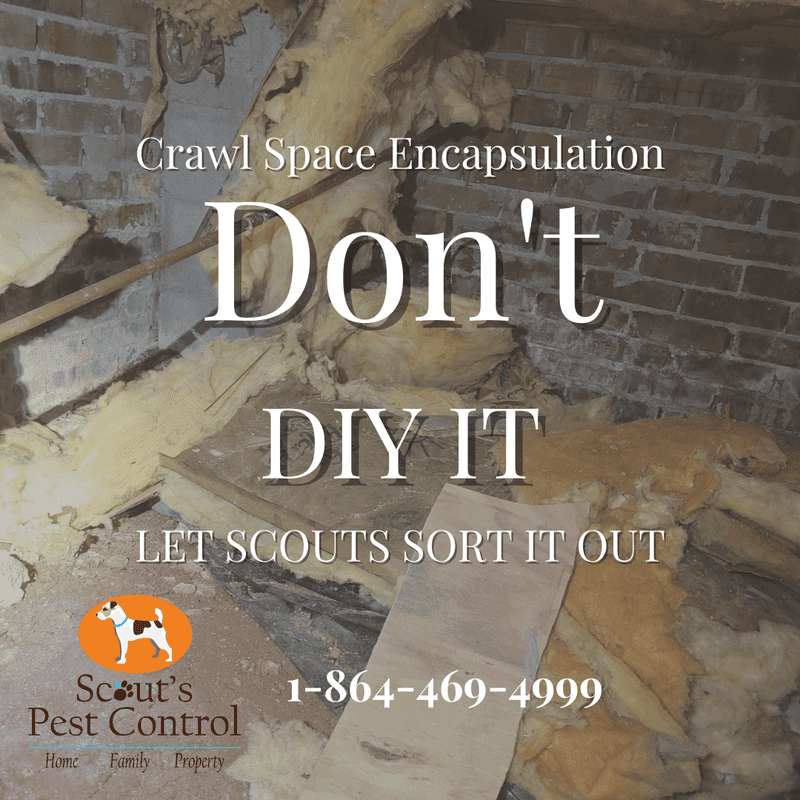 DIY Crawl Space Encapsulation - Don't Do It Yourself