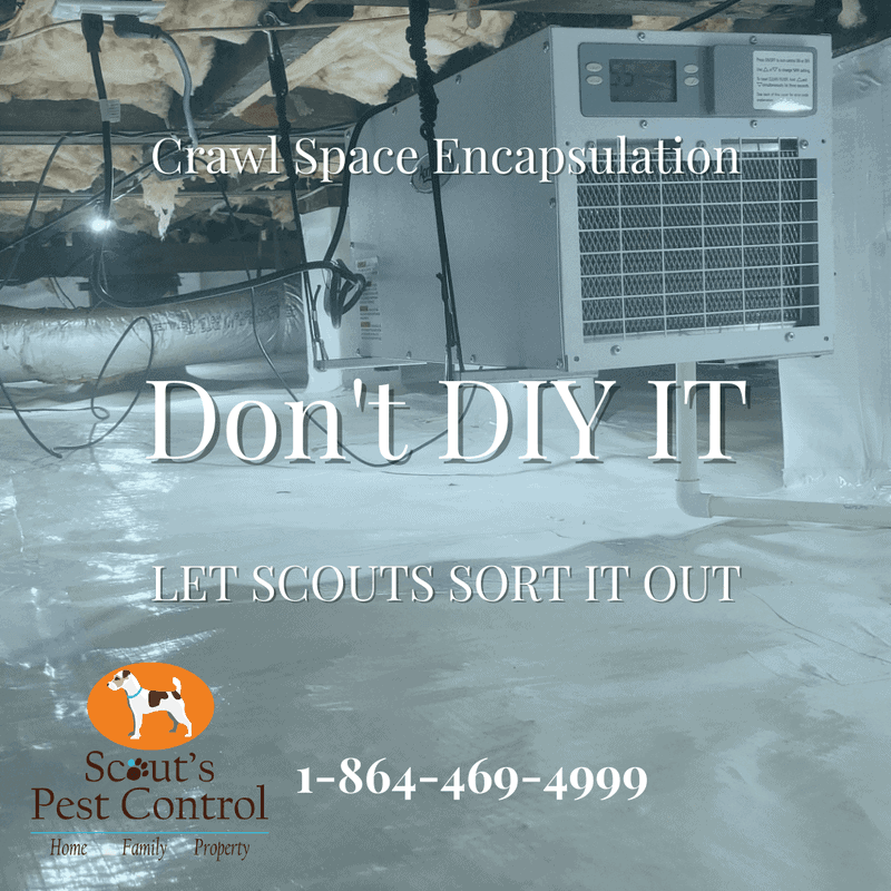DIY Crawl Space Encapsulation - Don't Do It Yourself
