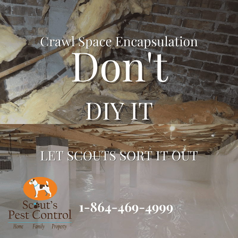 DIY Crawl Space Encapsulation - Don't Do It Yourself
