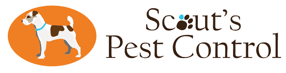 Scouts Pest Control Greenville SC