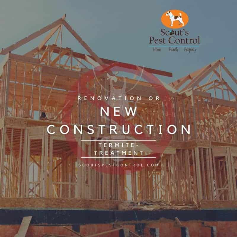 New Construction Termite Treatment