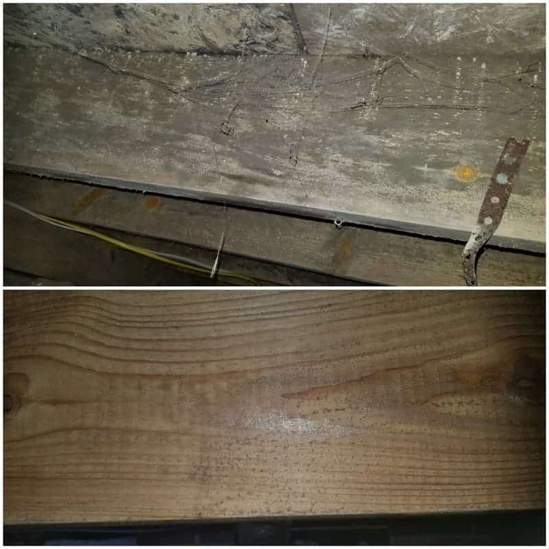 Crawl Space Mold, Rot and Fungus Prevention