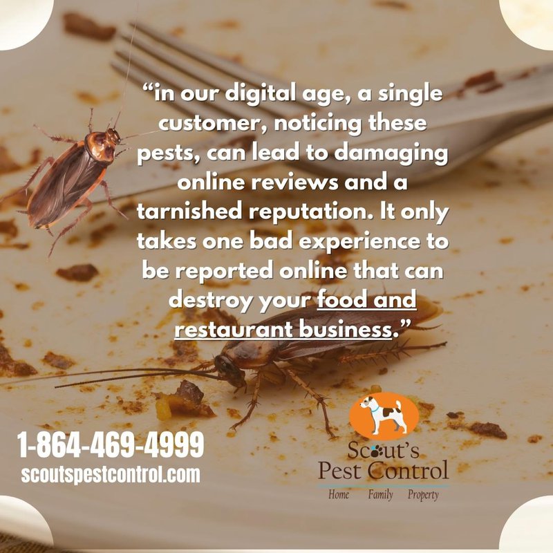 The Danger Lurking in Your Home: Smokey Brown Cockroaches