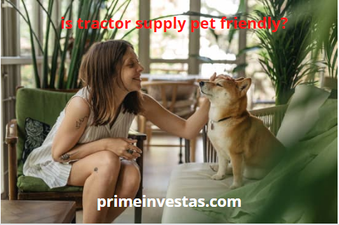 What Is Shoprite Return Policy? - PrimeInvestas