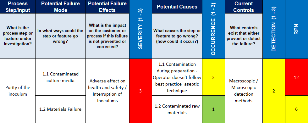 FMEA: Mastering Risk Mitigation Strategies