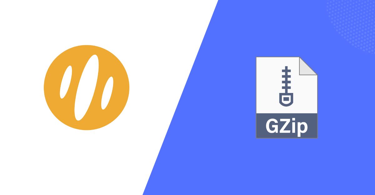 Brotli Vs Gzip Compression: Which Is Better For Website’s PageSpeed Optimization