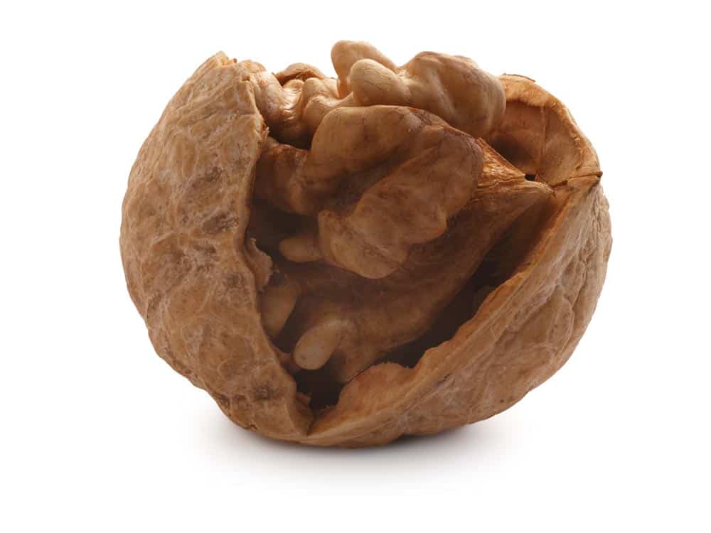 Quels sont les bienfaits des noix - Nutri Green Planet