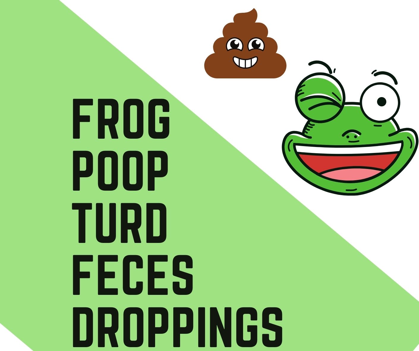 What Does Frog Poop Look Like (You May Be Surprised) - Amphibian Life