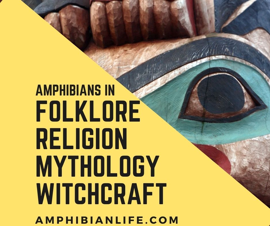 Frogs and Toads in Religion, Mythology, and Witchcraft - Amphibian Life