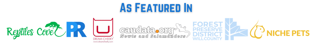 What Eats Tadpoles? 15 Tadpole Predators - Amphibian Life