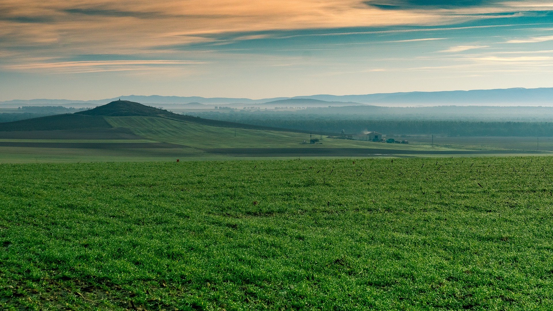 Gastronomía de León: Botillo del Bierzo, tradición y sabor