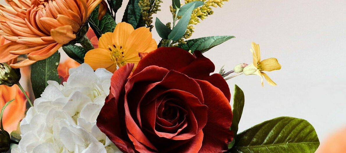 Blooms That Are Ideal for Congratulatory Flowers