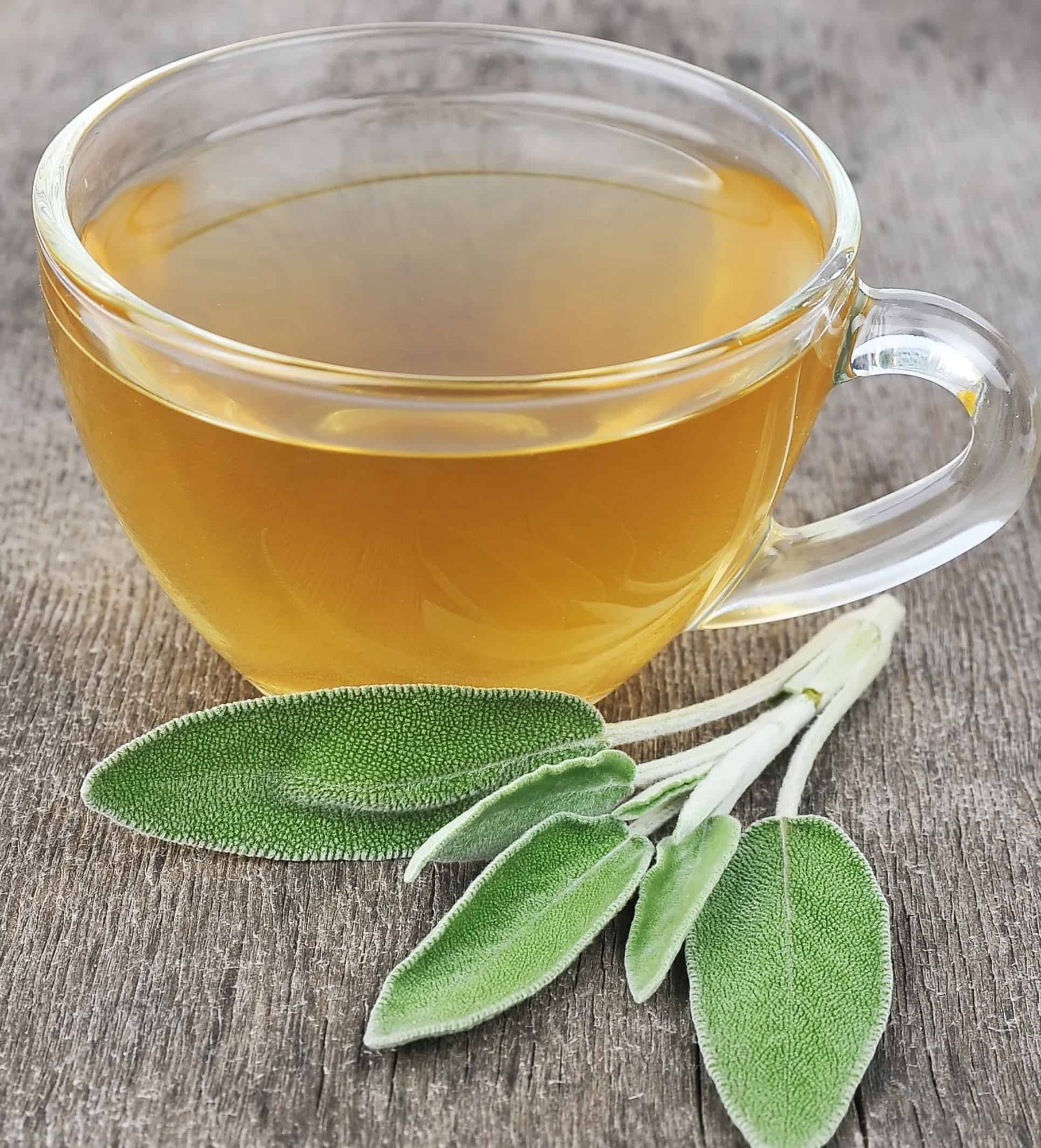 How to Use Sage Tea to Condition, Tame Frizz and Darken Grey Hair ...