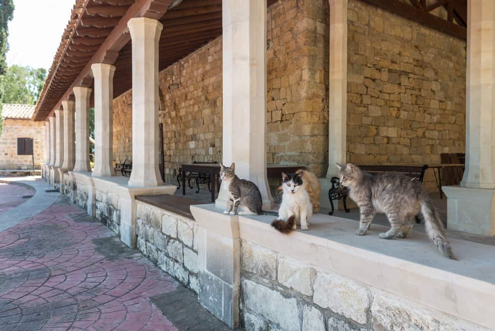 Monasteries in Cyprus: 20 Important & Significant Religious Buildings ...