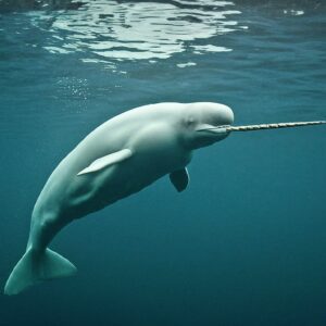 25 Unusual Hybrid Animals That Exists! (With Pictures)