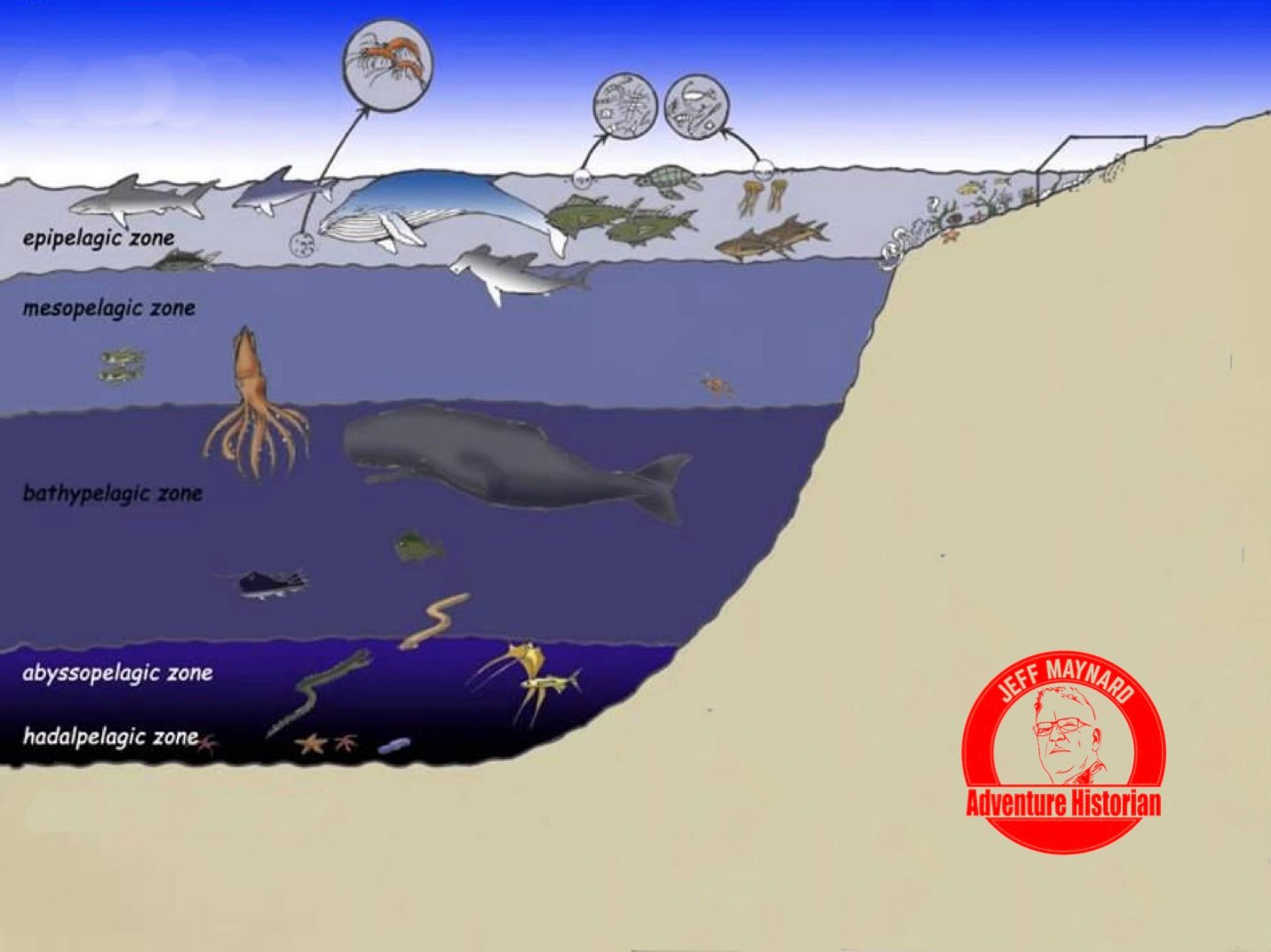 How Deep is the Ocean? A New Understanding | Jeff Maynard