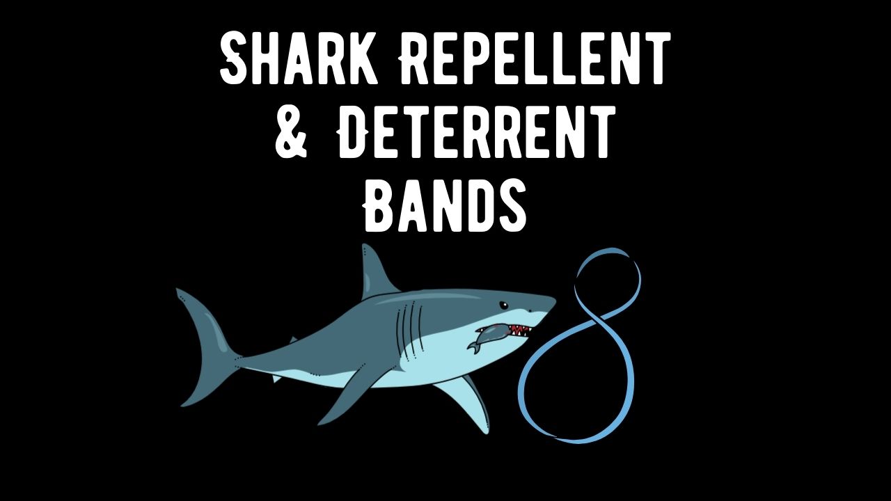 Effectiveness of Shark Repellent and Deterrent Bands - Shark Truth
