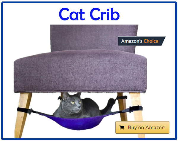 5 Best Cat Beds: Duke It Out For Your Dollar - Traveling With Your Cat