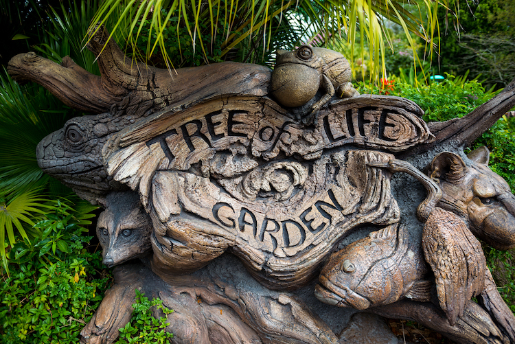 Five Exciting Facts About Discovery Island - WDW Magazine