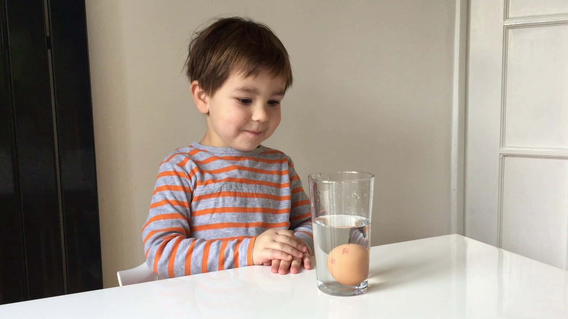 Egg Drop Experiment - Inertia Science Project