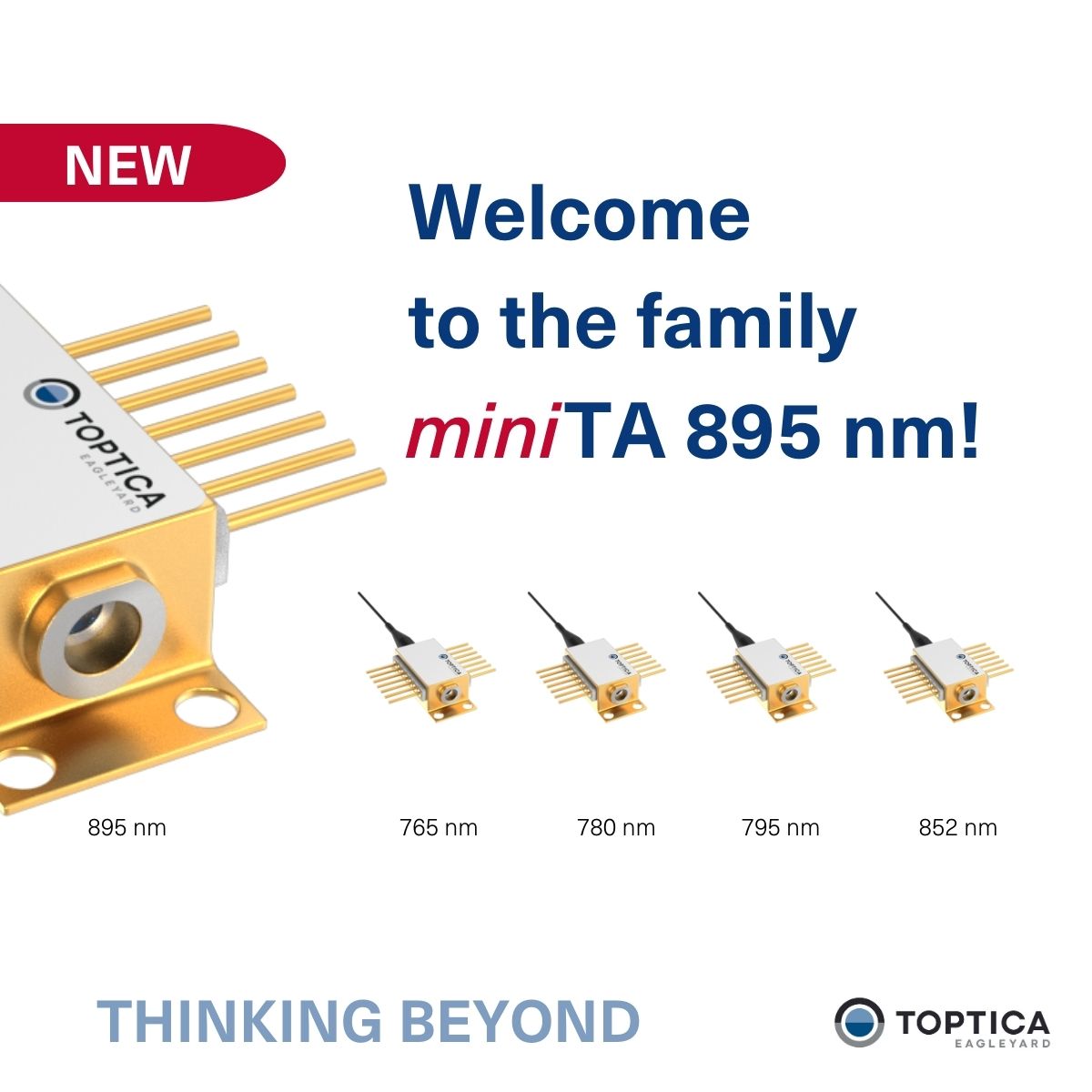 Welcome miniTA 895 nm!